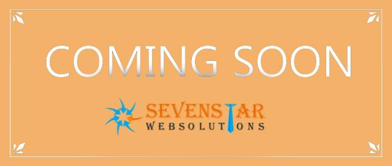 WEB MARKETING - Sevenstar Websolutions