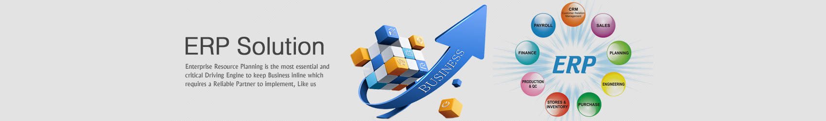 ERP Software Development Company in India , ERP Solutions, Services