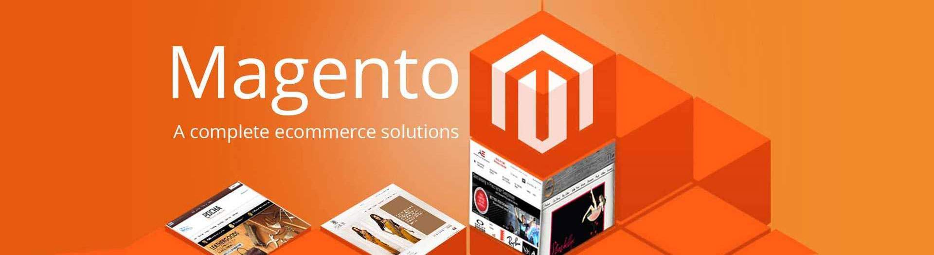 Magento Ecommerce Website Development Company Delhi India